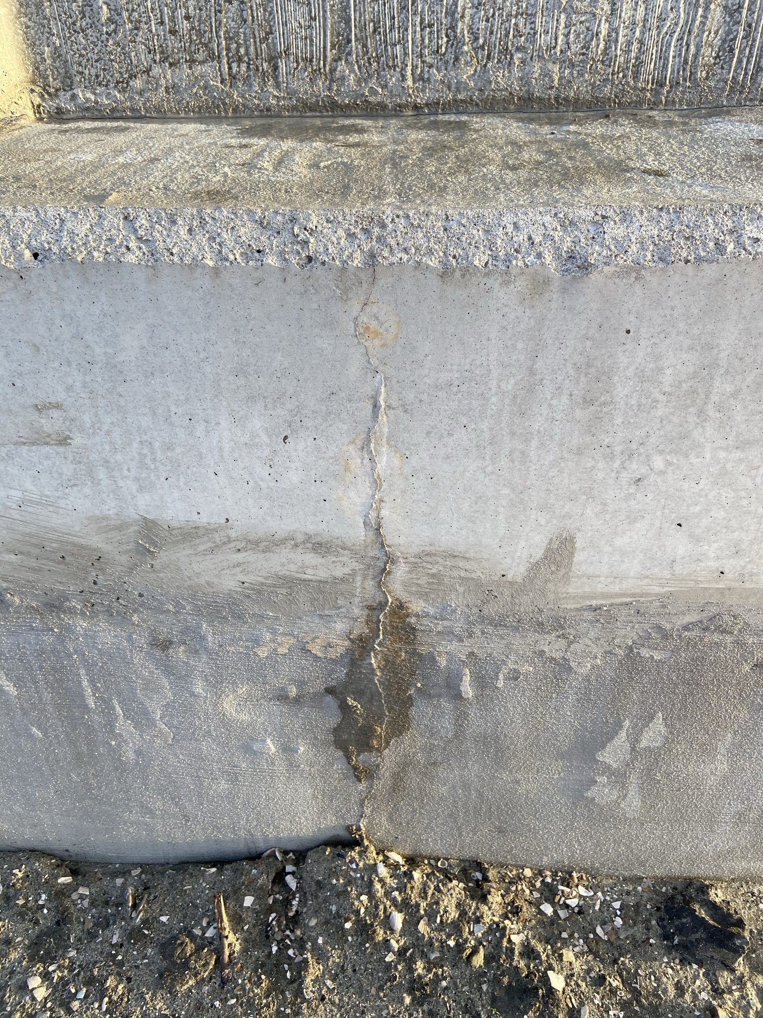 Products - Basilisk Self-Healing Concrete